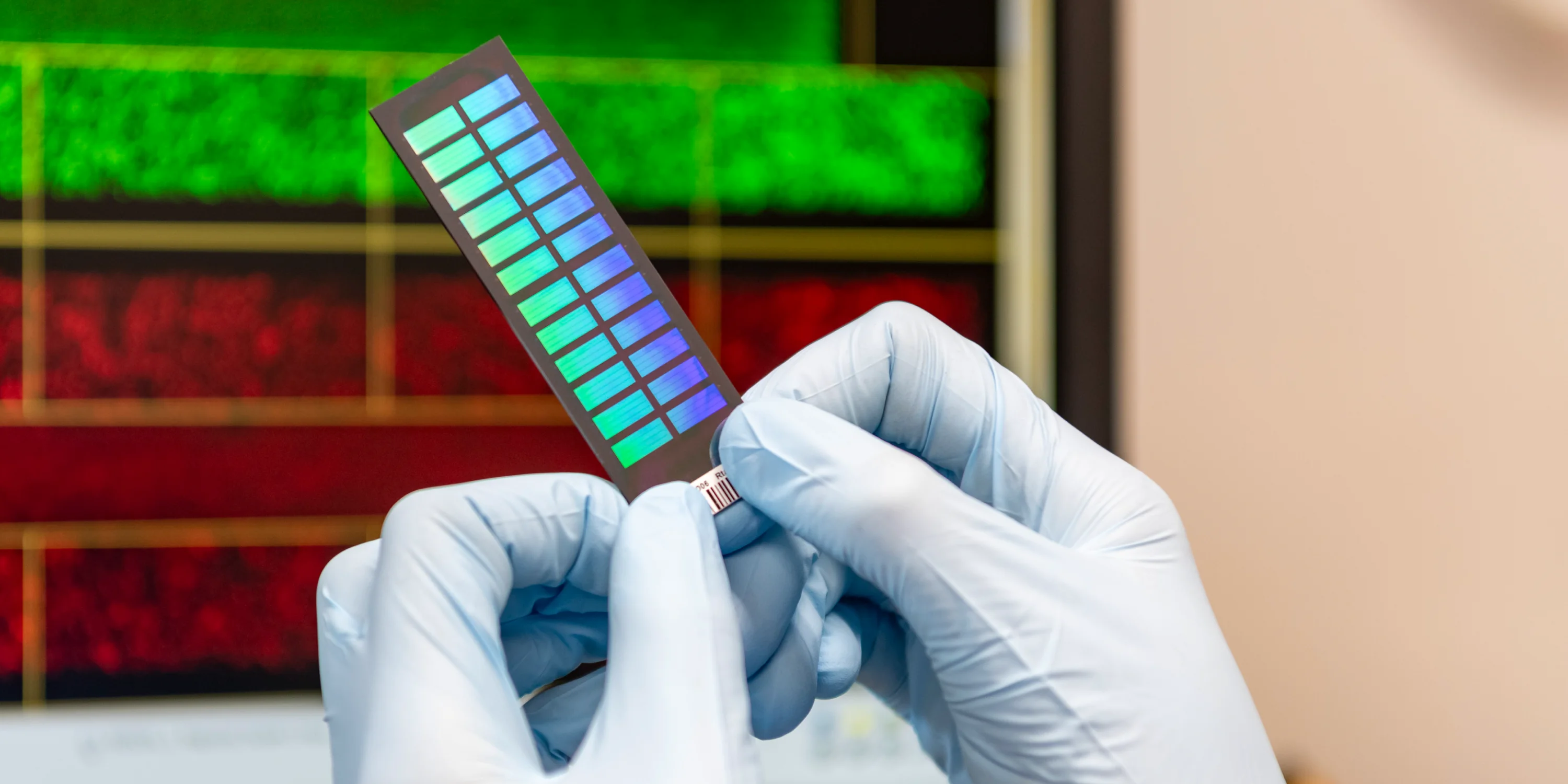 Enhanced Kinship Testing at Attolife - 646 Additional DNA Markers ...